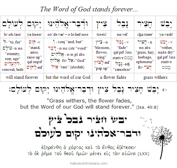 Hebrew4Christians Current Site Updates